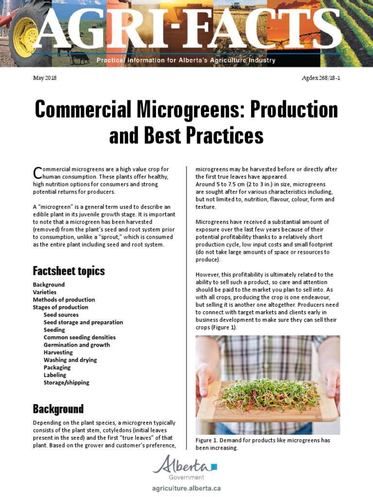 Microgreens Production Basic | PDF | Seed | Shelf Life