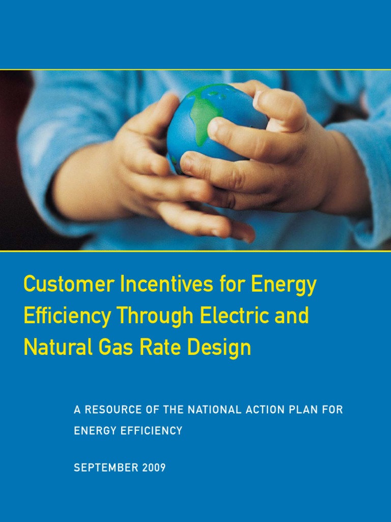Rate Design PDF | PDF | Incentive | Efficient Energy Use