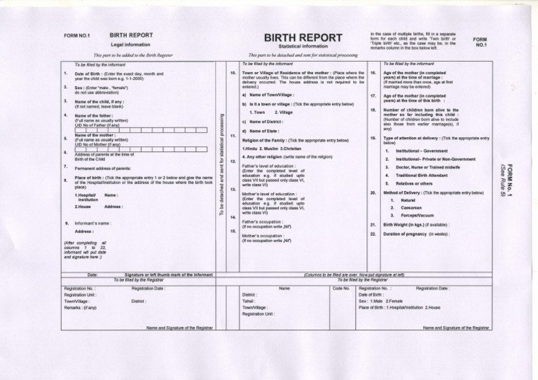 Birth Reporting Form | PDF