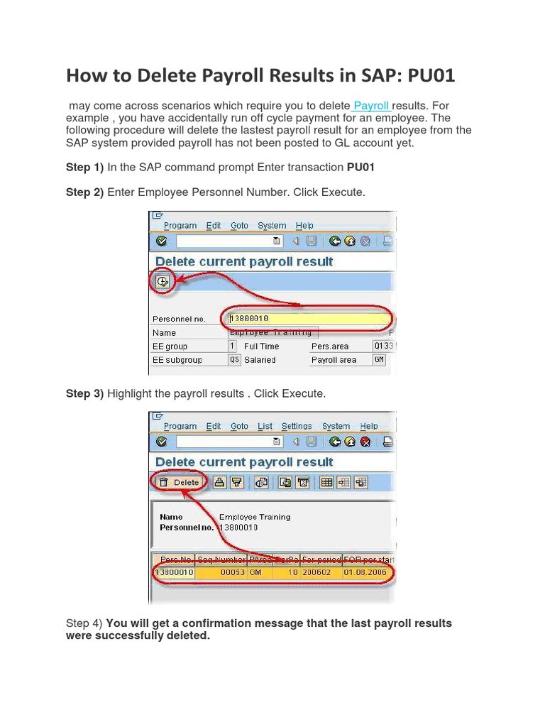 How To Execute Payroll In Sap In Background Imp 2 Pdf Payroll