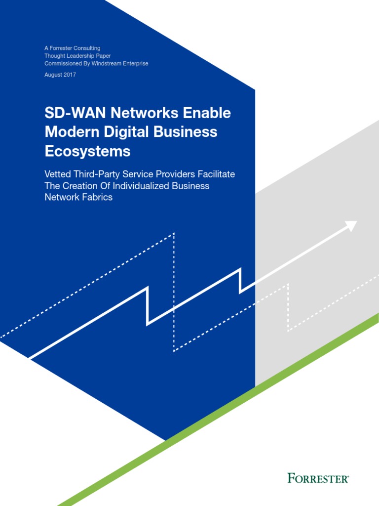 SD Wan Networks Enable Digital Business Ecosystems | PDF | Cloud Computing | Computer Network
