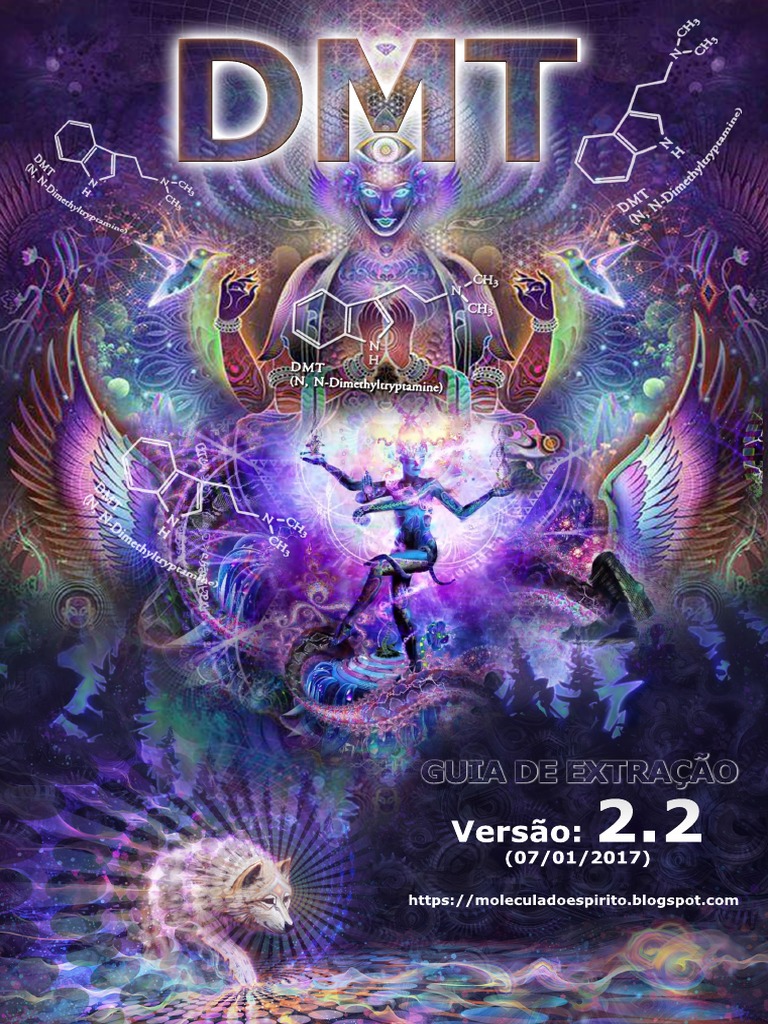 DMT Guia de Extracao Tek v22 | PDF | Natureza | Ensino de Matemática
