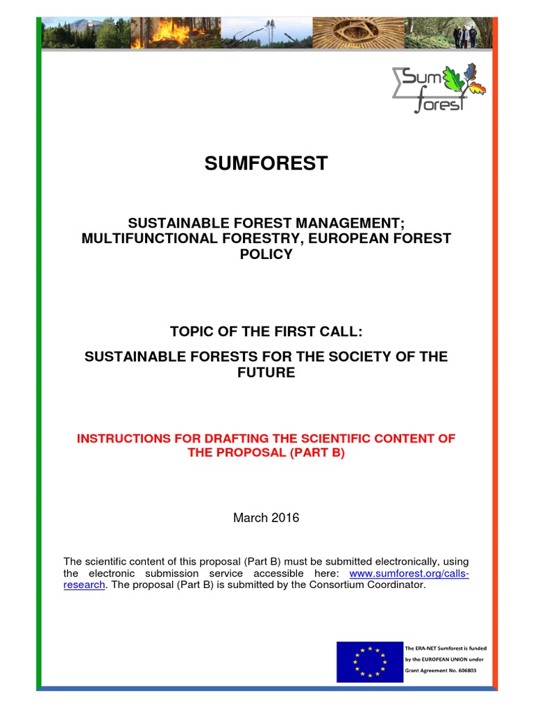 Sumforest Proposal Template | PDF | Business