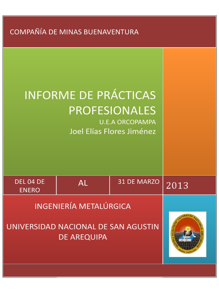INFORME FINAL Joe | PDF | Naturaleza