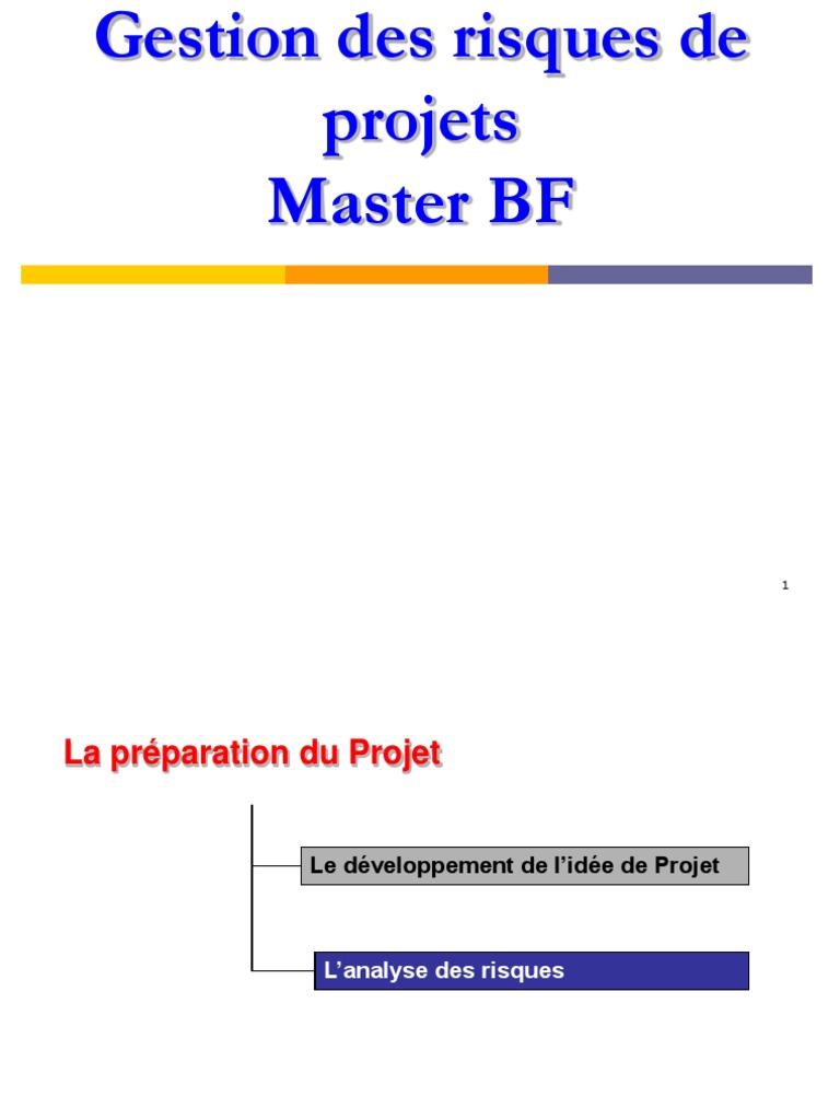 Gestion Des Risques | PDF | Risque opérationnel | Risque