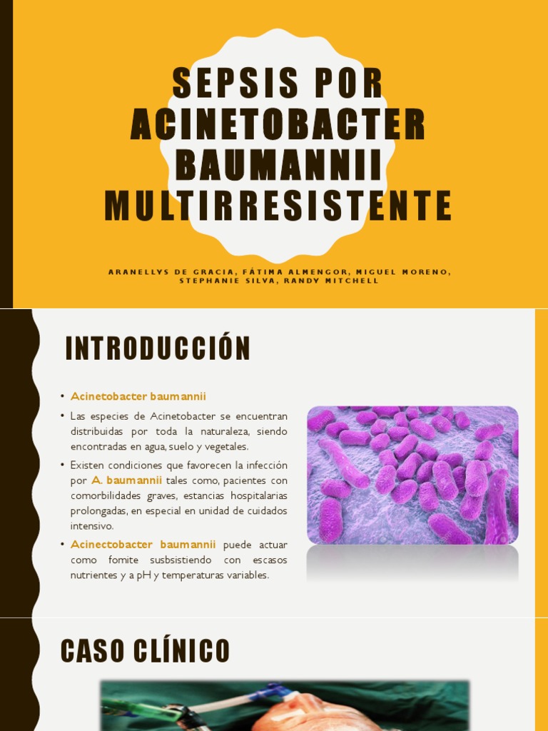 Sepsis Por Acinetobacter Baumannii Multirresistente | PDF | Septicemia ...