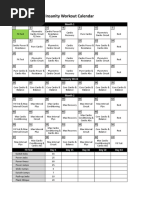 Shaun T Insanity Calendar