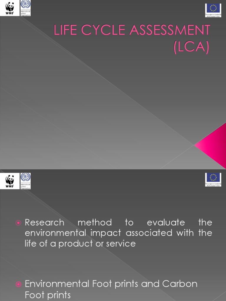 Life Cycle Assessment | PDF | Life Cycle Assessment | Business