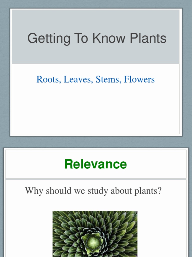 Getting To Know Plants | PDF | Flowers | Pollination