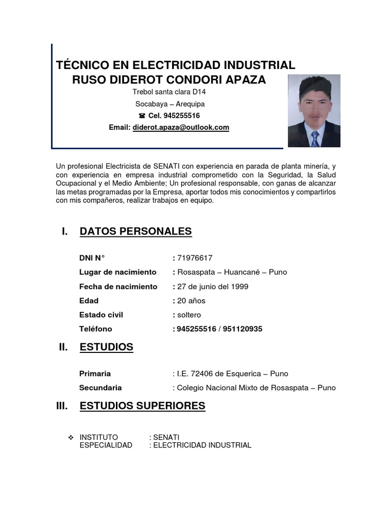 CV Ruso Diderot | PDF | Electricidad | Naturaleza