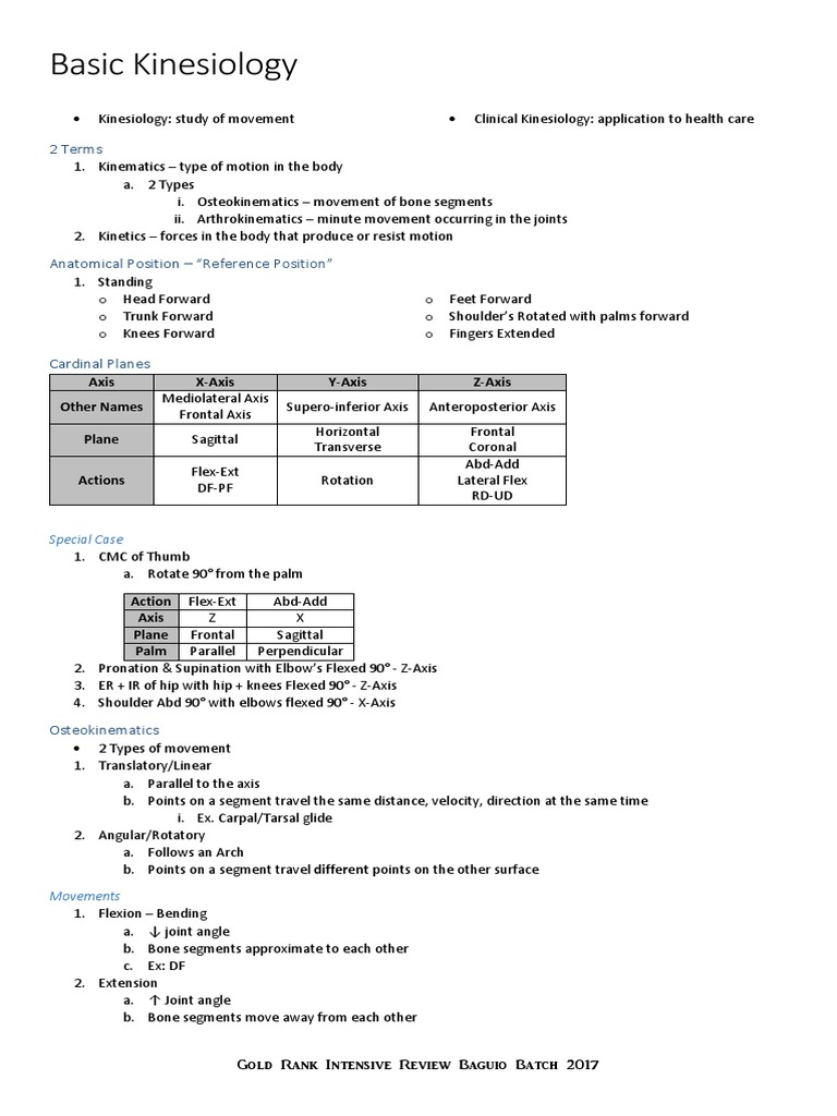 Basic Kinesiology | PDF | Anatomical Terms Of Motion | Human Leg