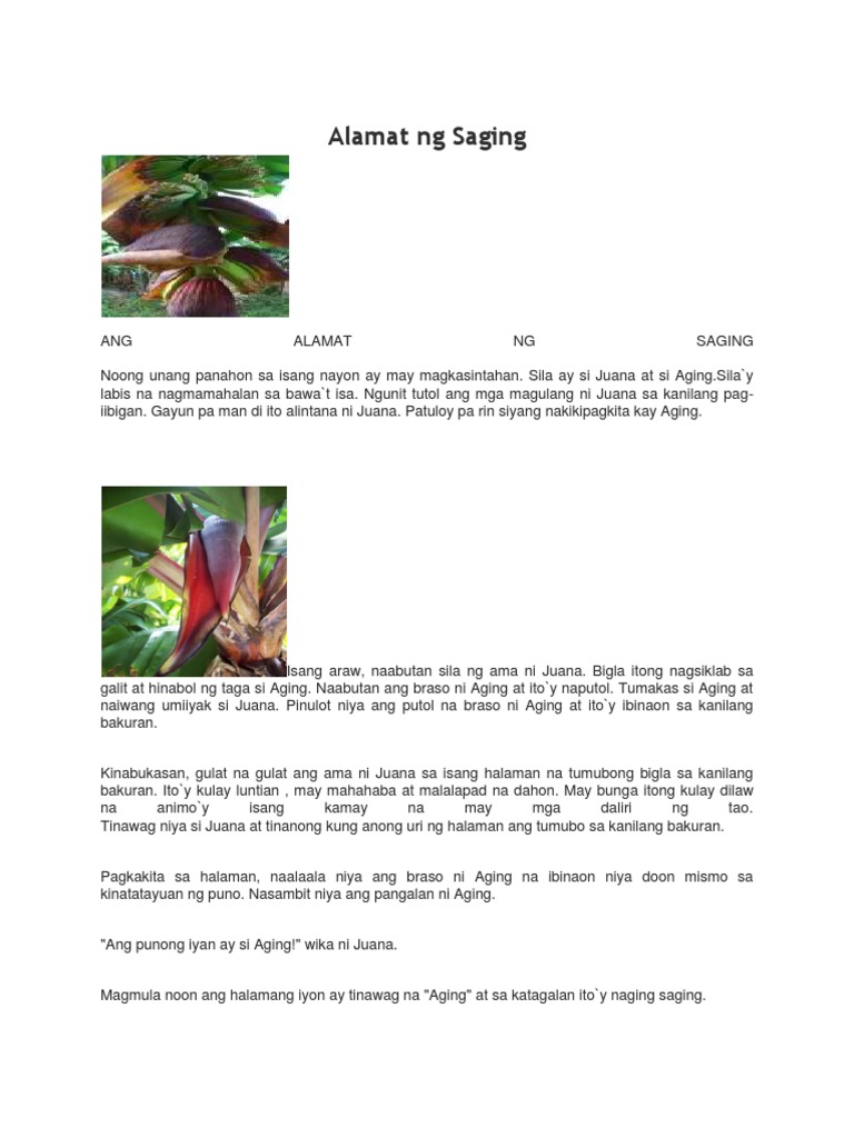 Alamat NG Saging | PDF