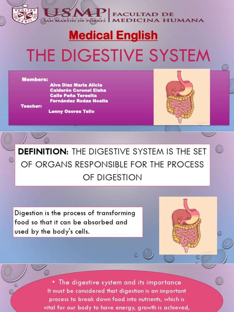 Understanding the Vital Role of the Digestive System | PDF | Human ...