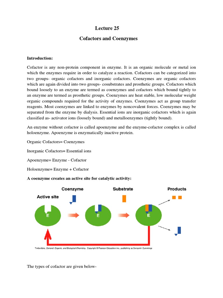 Lecture 25 | PDF | Cofactor (Biochemistry) | Enzyme