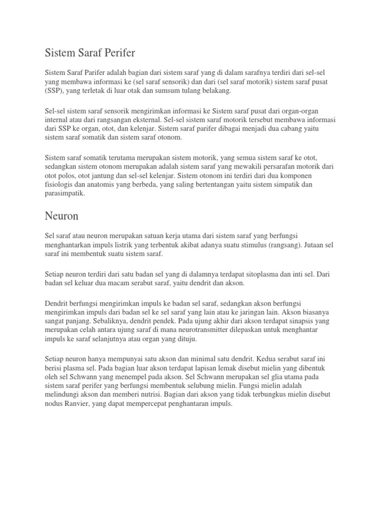 Sistem Saraf Perifer dan Stem Cell | PDF