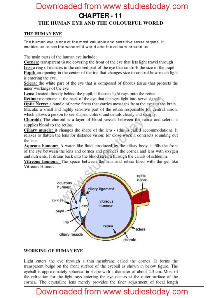 CBSE Class 10 Science Human Eye and Colourful World Notes PDF | PDF ...