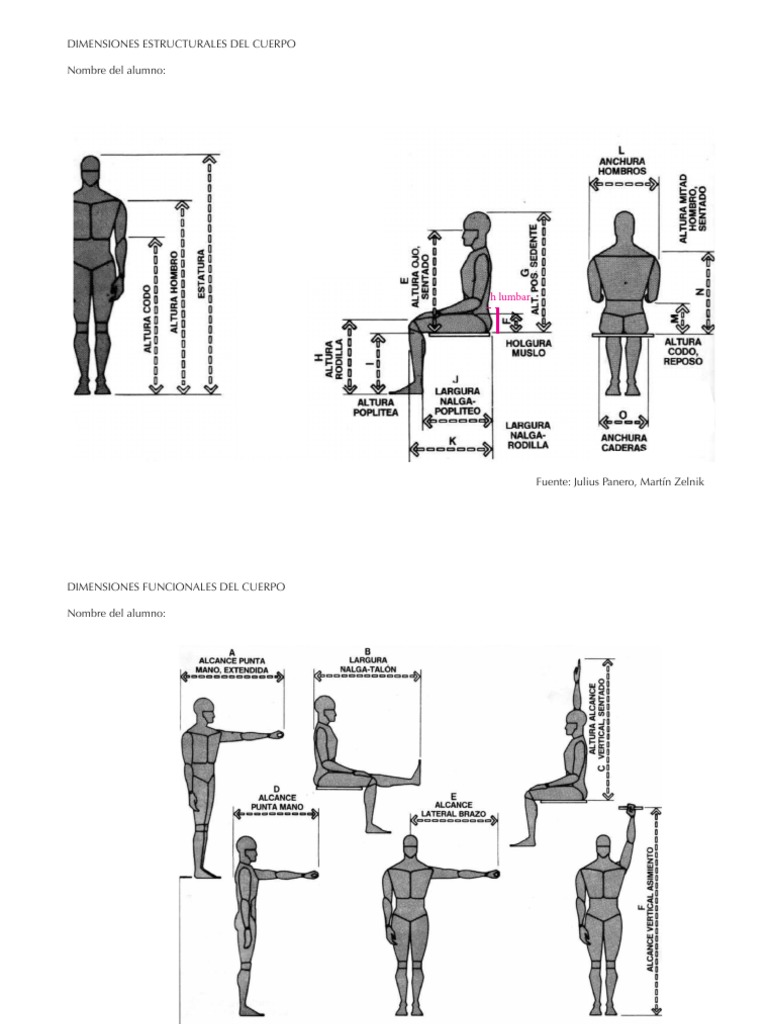Ficha para Medidas Antropométricas | PDF | Antropometría | Cuerpo humano