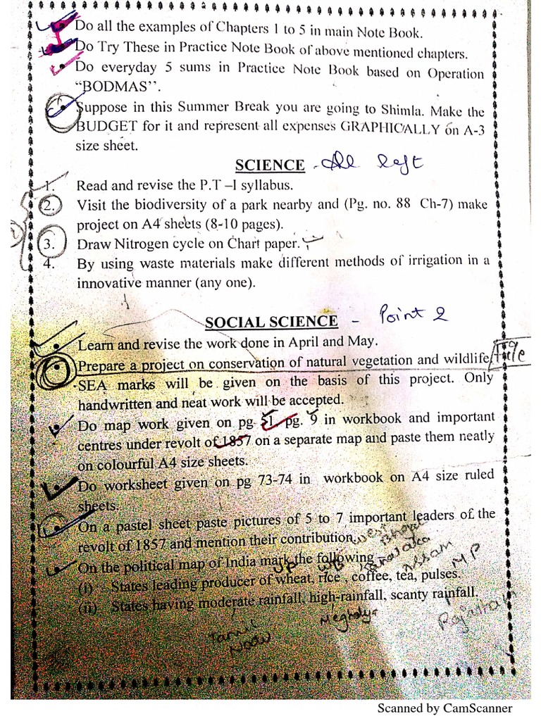 Divya Homework | PDF