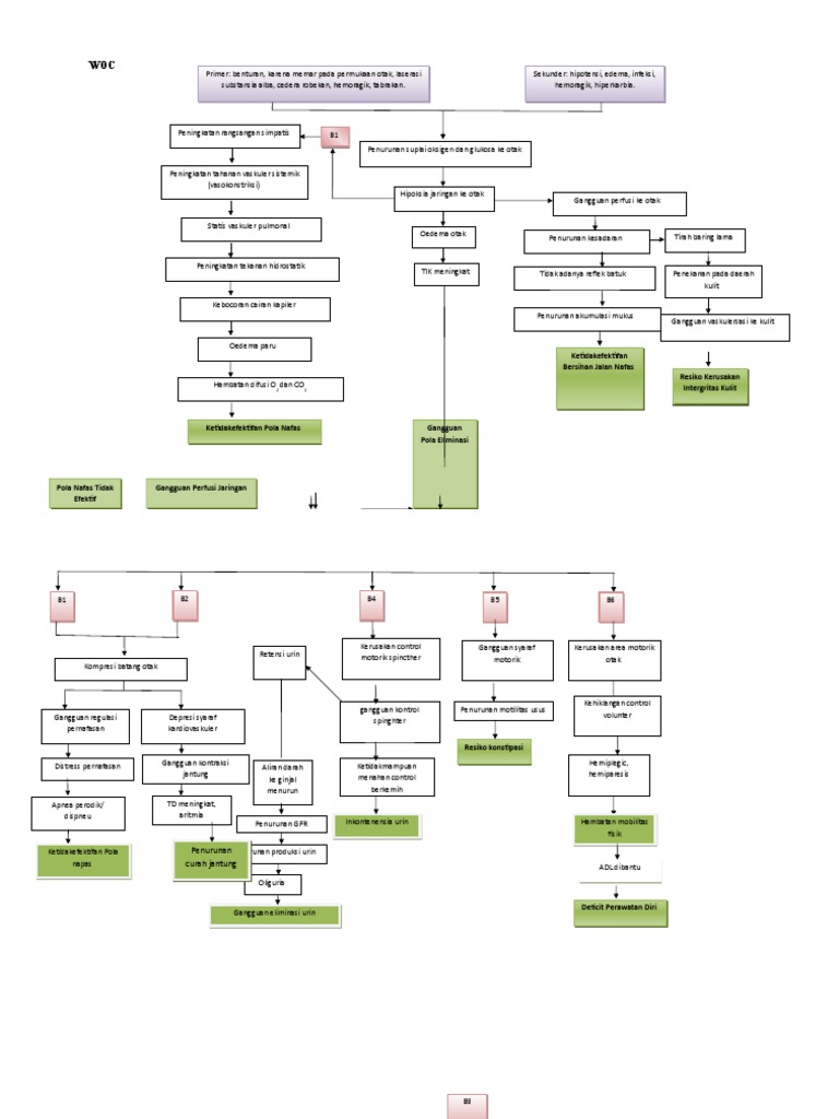 Woc Trauma Kepala | PDF