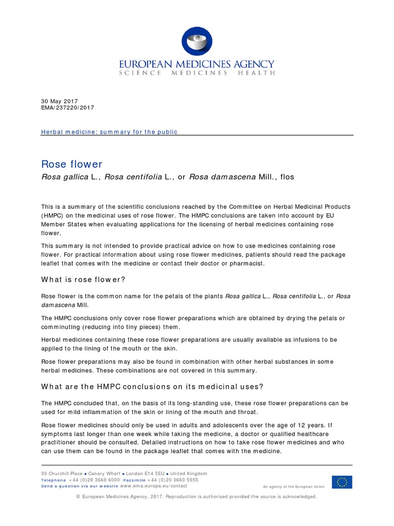 Rose Flower Summary Public en | PDF | Rose | Pharmacology