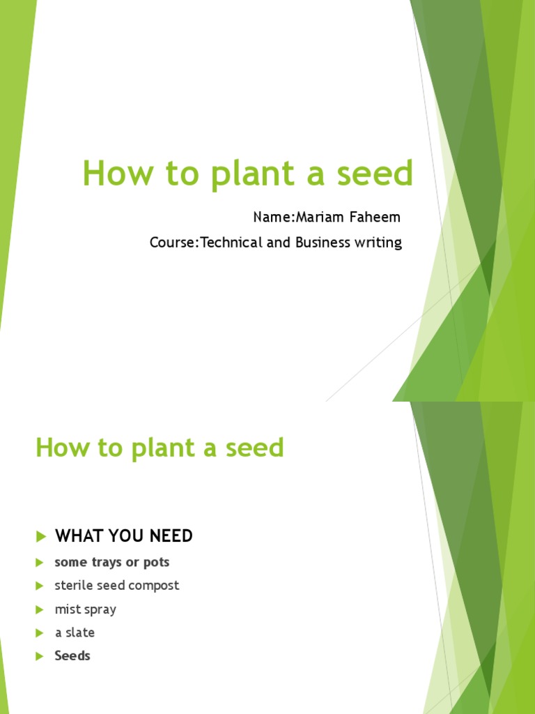 How To Plant A Seed | PDF | Seed | Germination