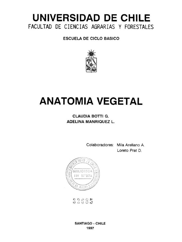 Anatomía Vegetal | PDF