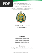 Morfogénesis en Plantas: Fundamentos y Procesos | PDF | Tallo de la ...
