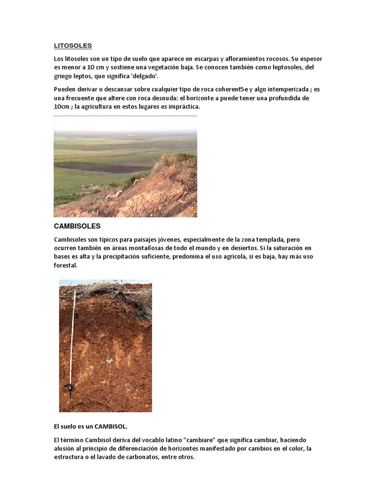 LITOSOLES | PDF | Suelo | Roca (geología)