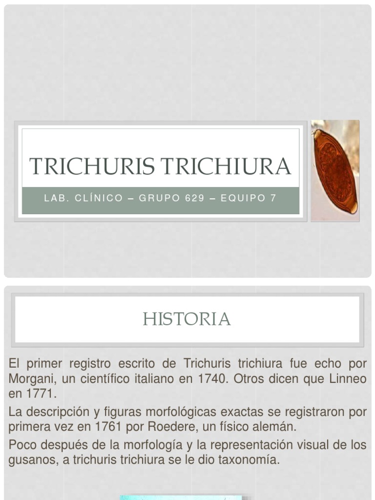Trichuris Trichiura 160226011651 | PDF | Epidemiología | Medicina