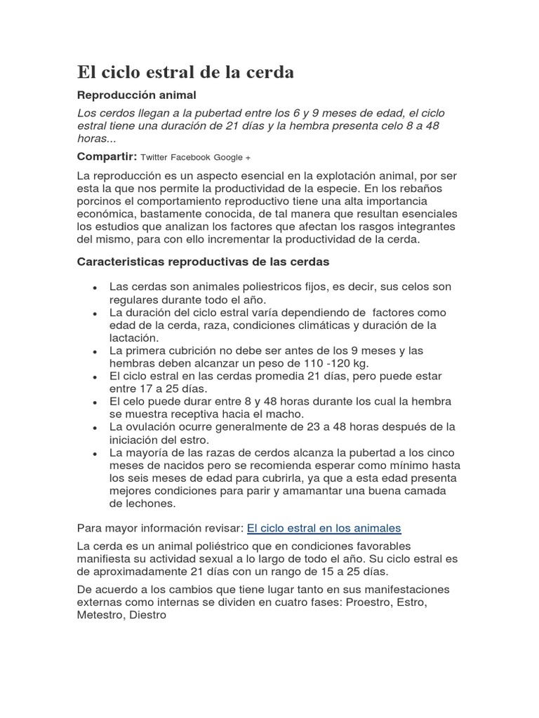 El Ciclo Estral de La Cerda | PDF | Sistema reproductivo animal | Organismos