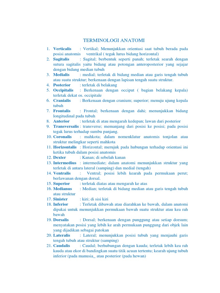Istilah Dasar dalam Terminologi Anatomi | PDF