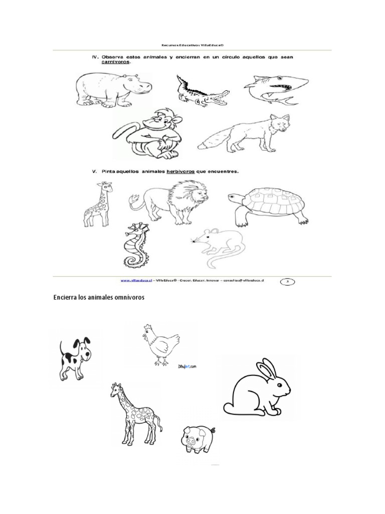 Encierra Los Animales Omnívoros | PDF