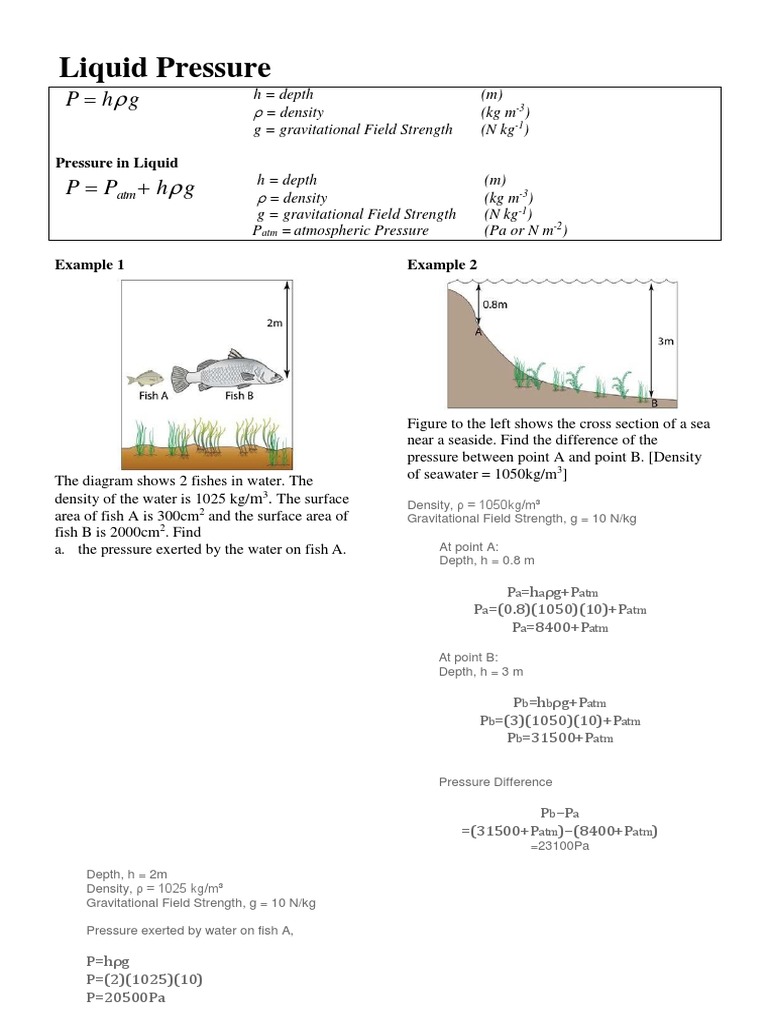 Exercises Liquid Pressure | PDF | Pressure | Density