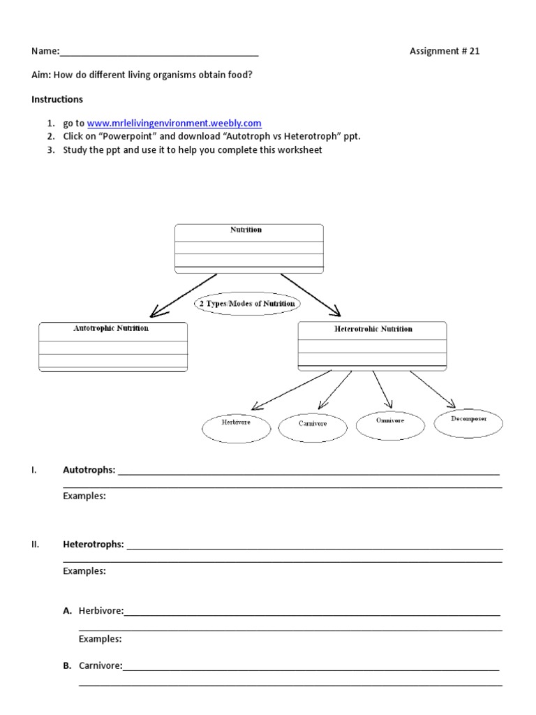 Autotrophs vs Heterotrophs Worksheet | PDF | Environmental Technology ...