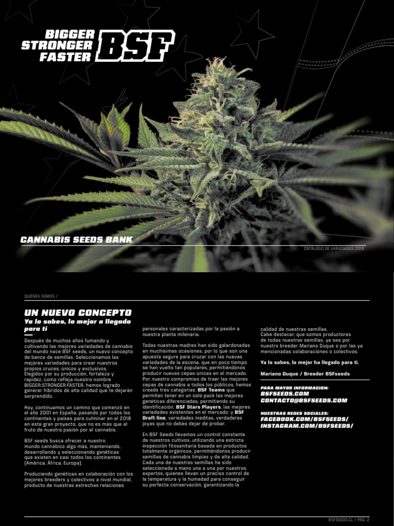 Catalogo Movil BSF PDF | PDF | Cannabis (Droga) | Naranja)
