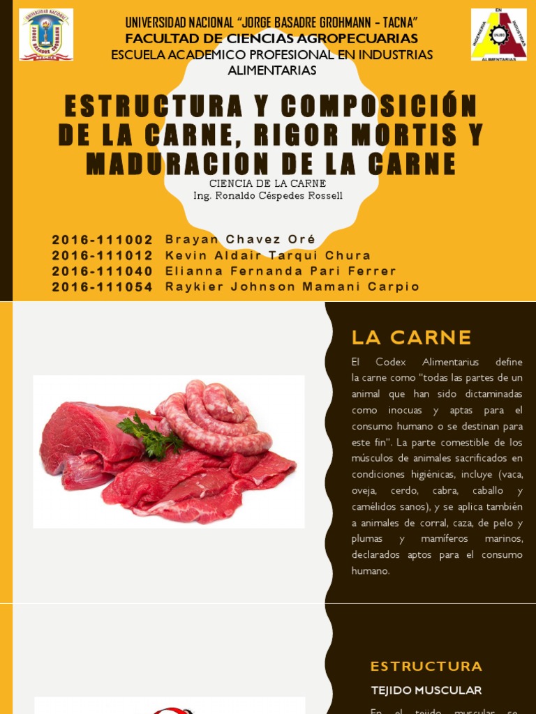 Estructura y Composicion de La Carne | PDF | Músculo | Carne