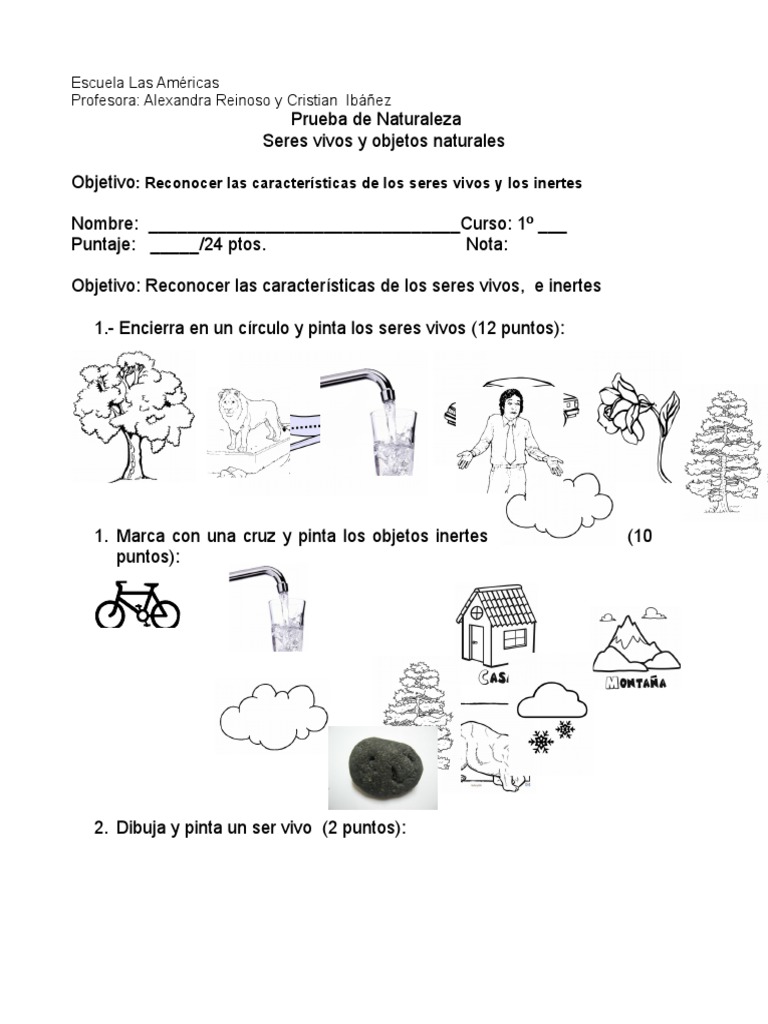Prueba Seres Vivos-Objetos Inertes | PDF
