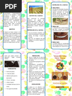 Triptico Quinua | PDF | Quinua | Nutrición