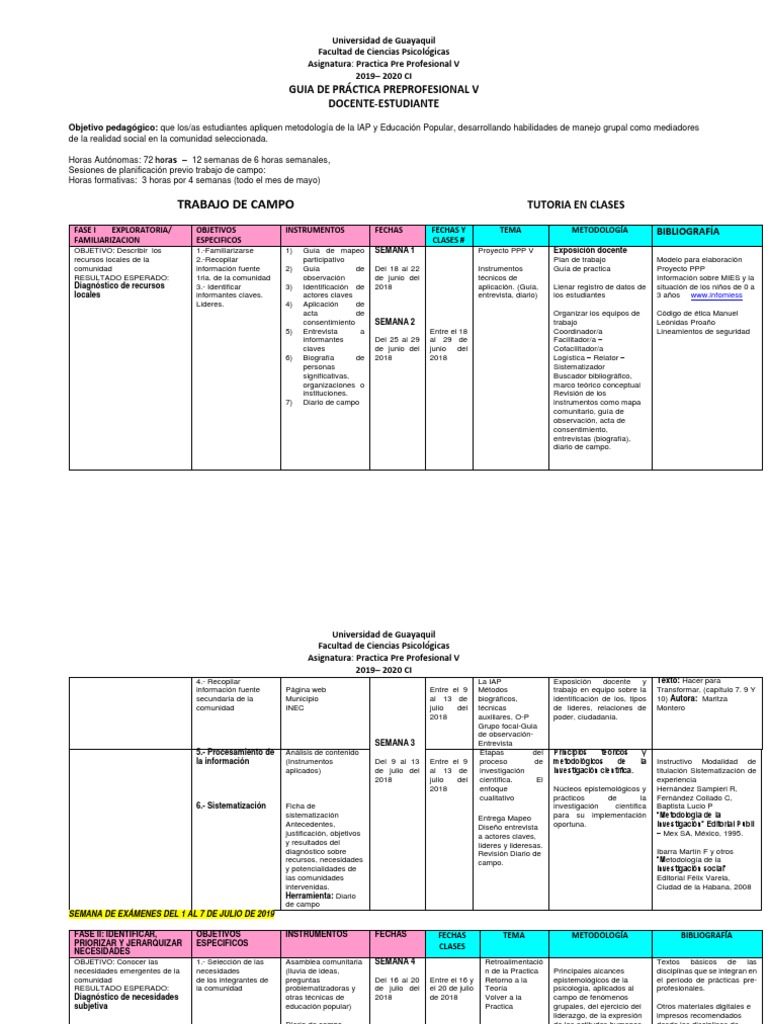 Guía de Práctica Preprofesional V | PDF | Metodología | Sicología