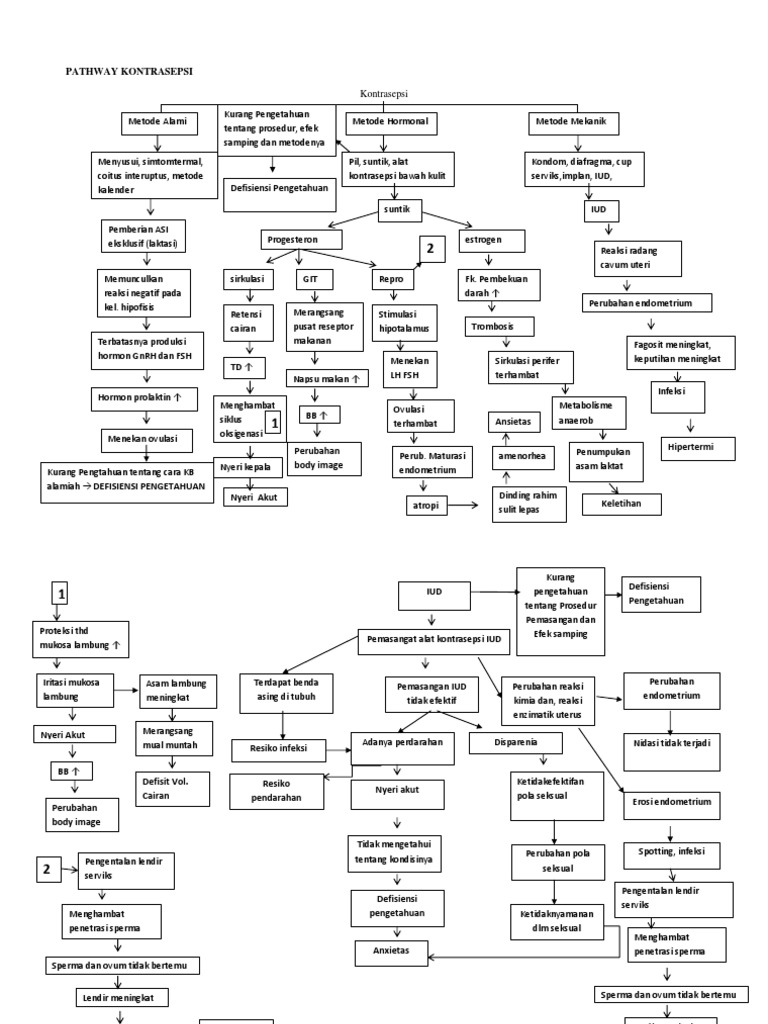 1b. Pathway KB Fix | PDF