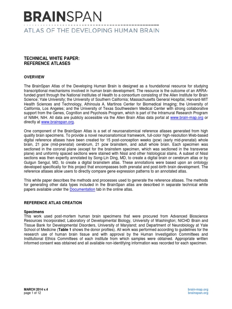 BrainSpan Reference Atlas | PDF | White Matter | Cerebrum