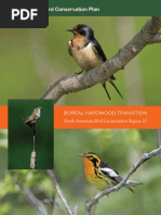 Bto Bird Species Codes | PDF