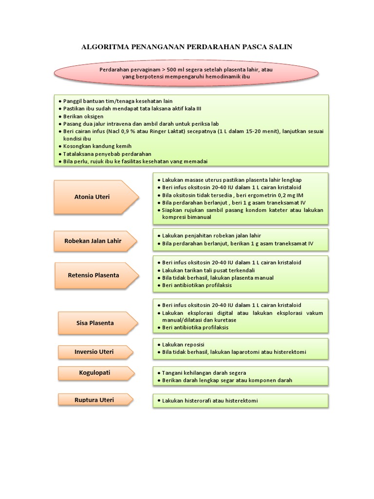 Algoritma Penanganan Perdarahan Pasca Salin | PDF