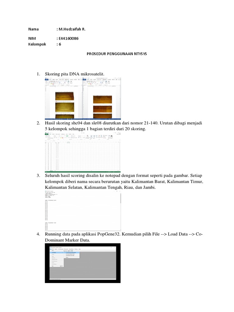 Prosedur NTSys | PDF