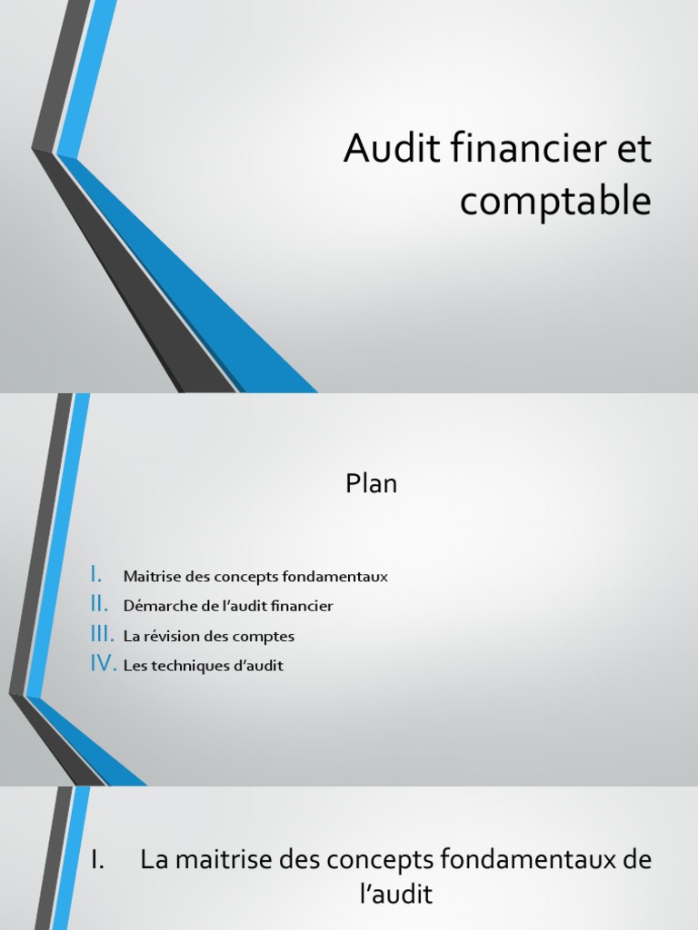 Cours Audit Financier Et Comptable | PDF | Audit financier | Audit
