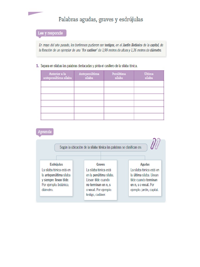 Palabras Agudas, Graves, Esdrujulas | PDF