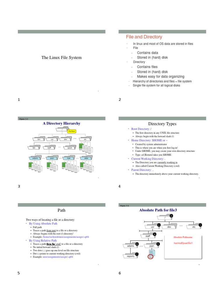 The Linux File System | PDF | Computer File | File System