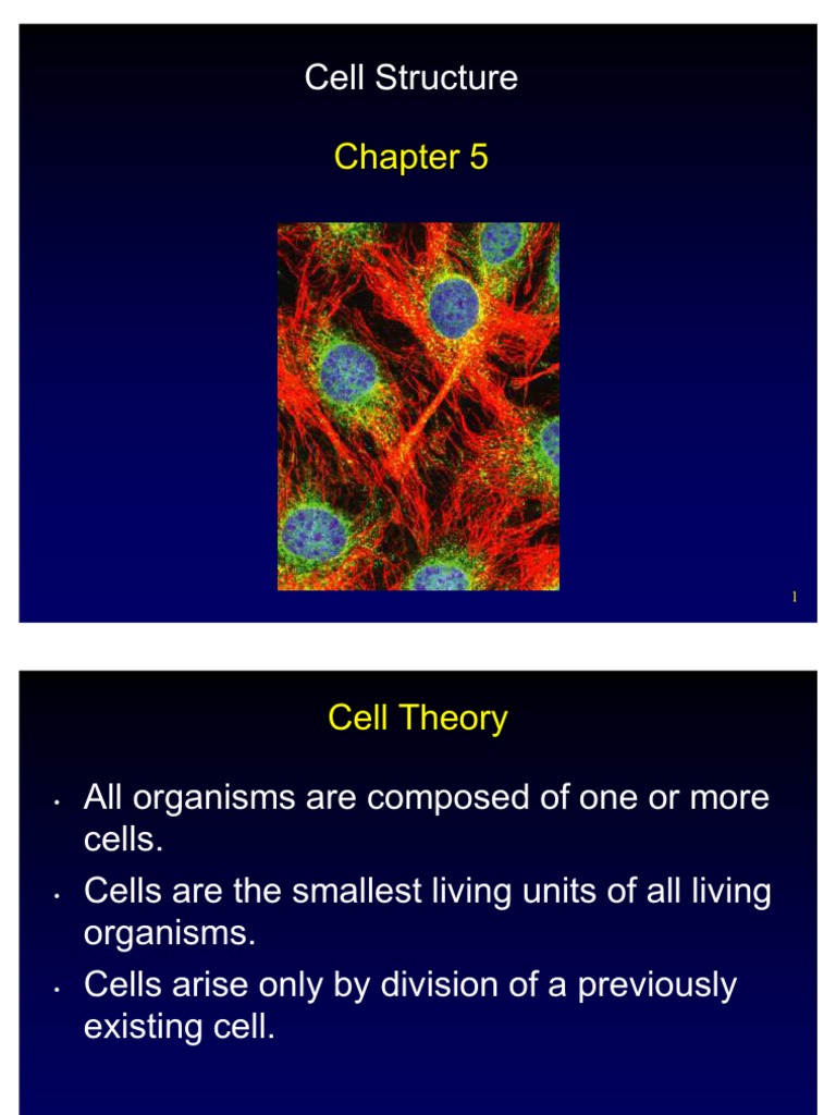 Chapter 5 - Cell Structure | PDF | Cell (Biology) | Endoplasmic Reticulum