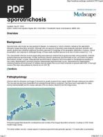 Weekly Urticaria Activity Score | PDF