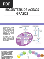 Zimogenos o Proenzimas | PDF | Salud y bienestar